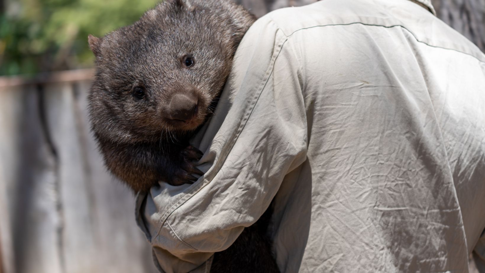 4 Essentials For Animal Care Workers in the Outdoors - Animal ...